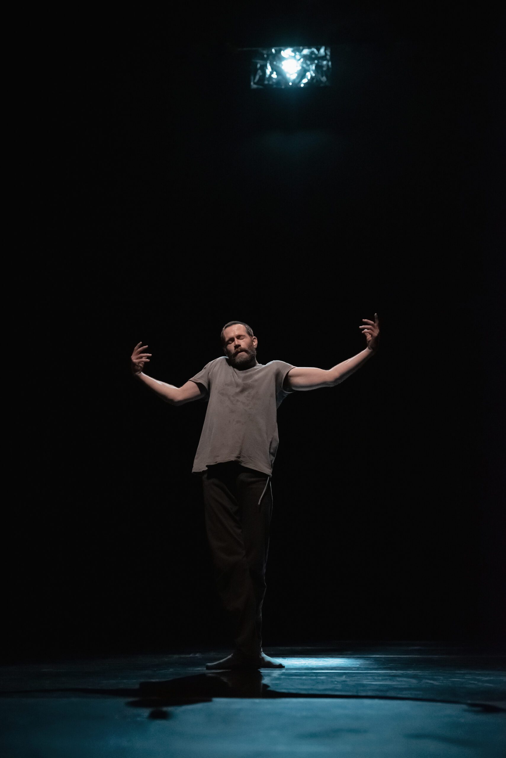 Revisor - Kidd Pivot